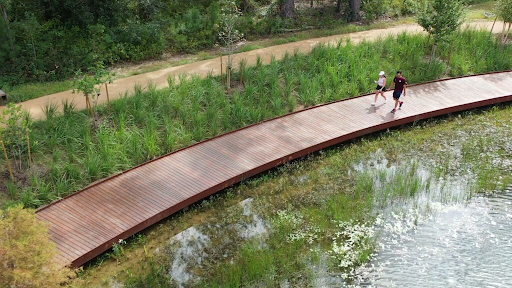 Eco-Friendly Benefits of Timber Bridges Over Traditional Materials